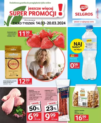 Gazetki promocyjne sieci handlowych w Polsce | dlahandlu.pl