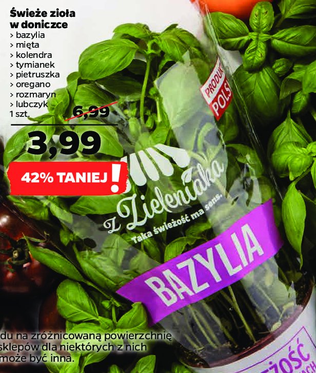 Bazylia Z ZIELENIAKA NETTO - cena - promocje - opinie - sklep | Blix.pl