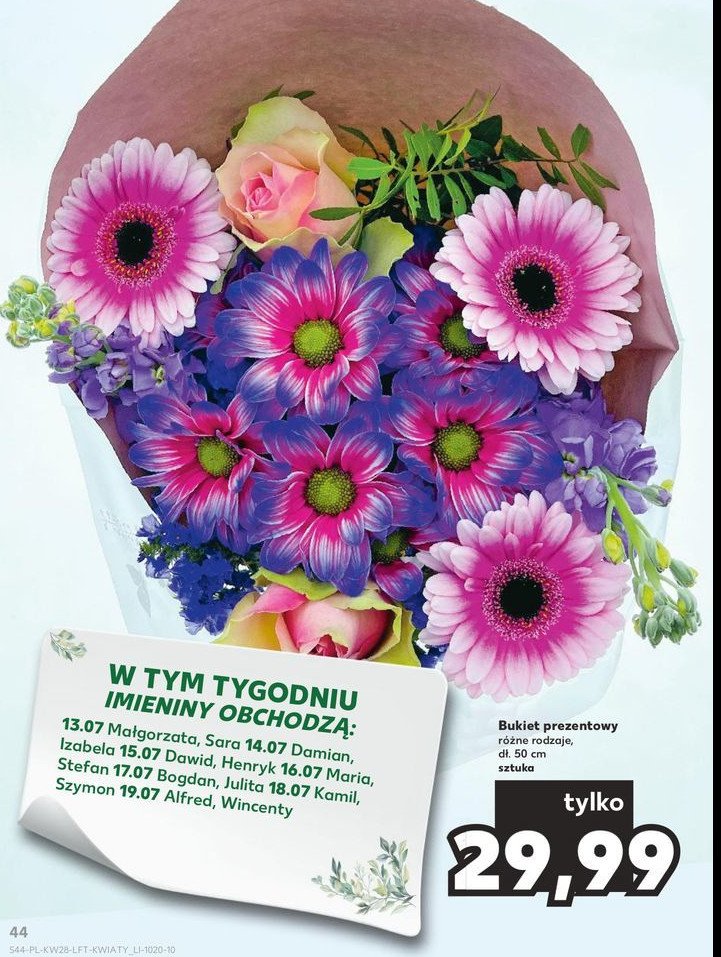 Doniczka śr. 40 cm Parkside - cena - promocje - opinie - sklep | Blix.pl - Brak ofert