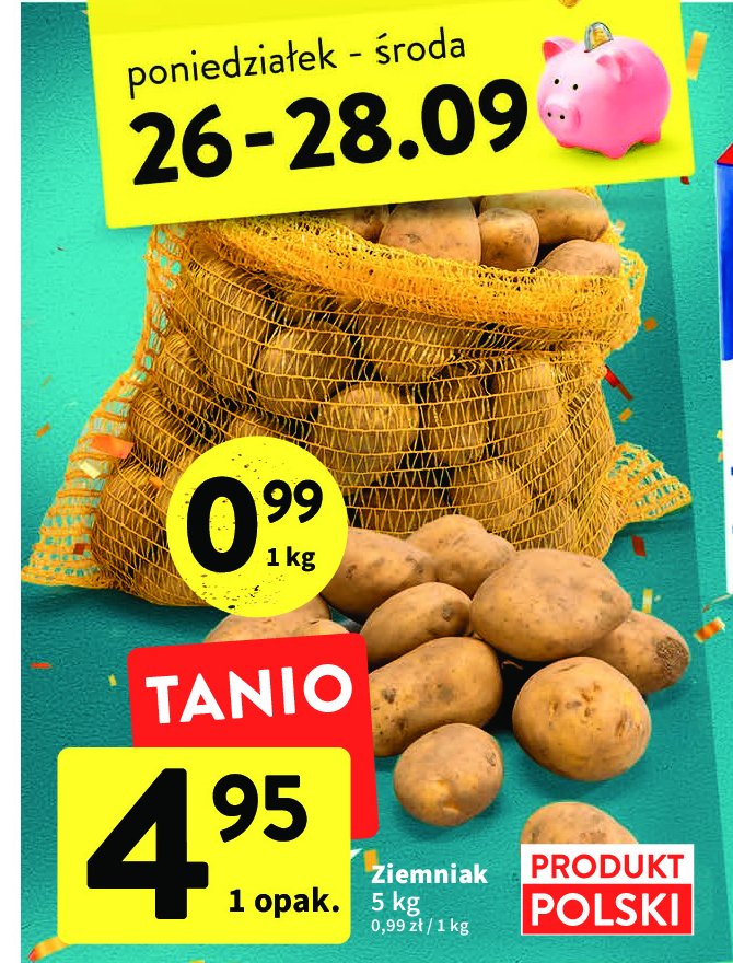 Cebula słodka Biedronka warzywniak - cena - promocje - opinie - sklep | Blix.pl